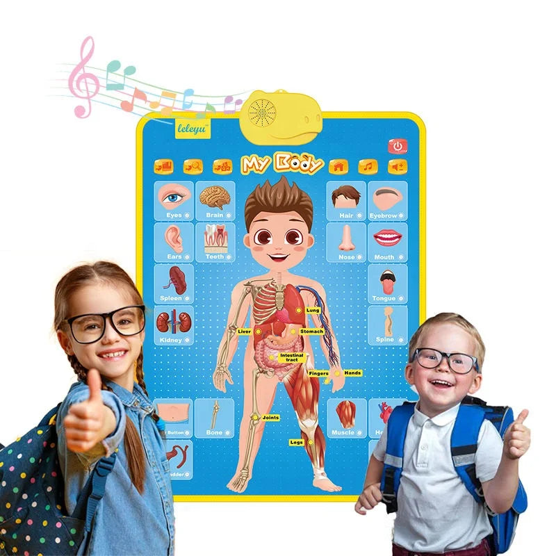 GaryToy Kids Interactive Educational Human Anatomy Wall Chart Talking ...