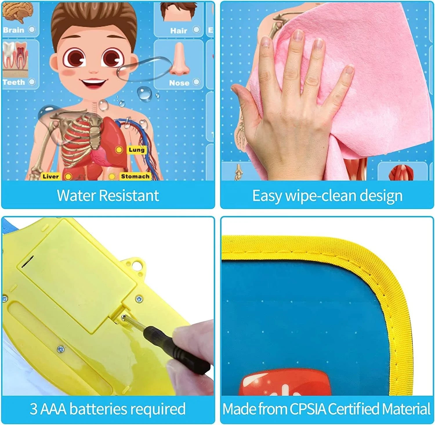 GaryToy Kids Interactive Educational Human Anatomy Wall Chart Talking ...