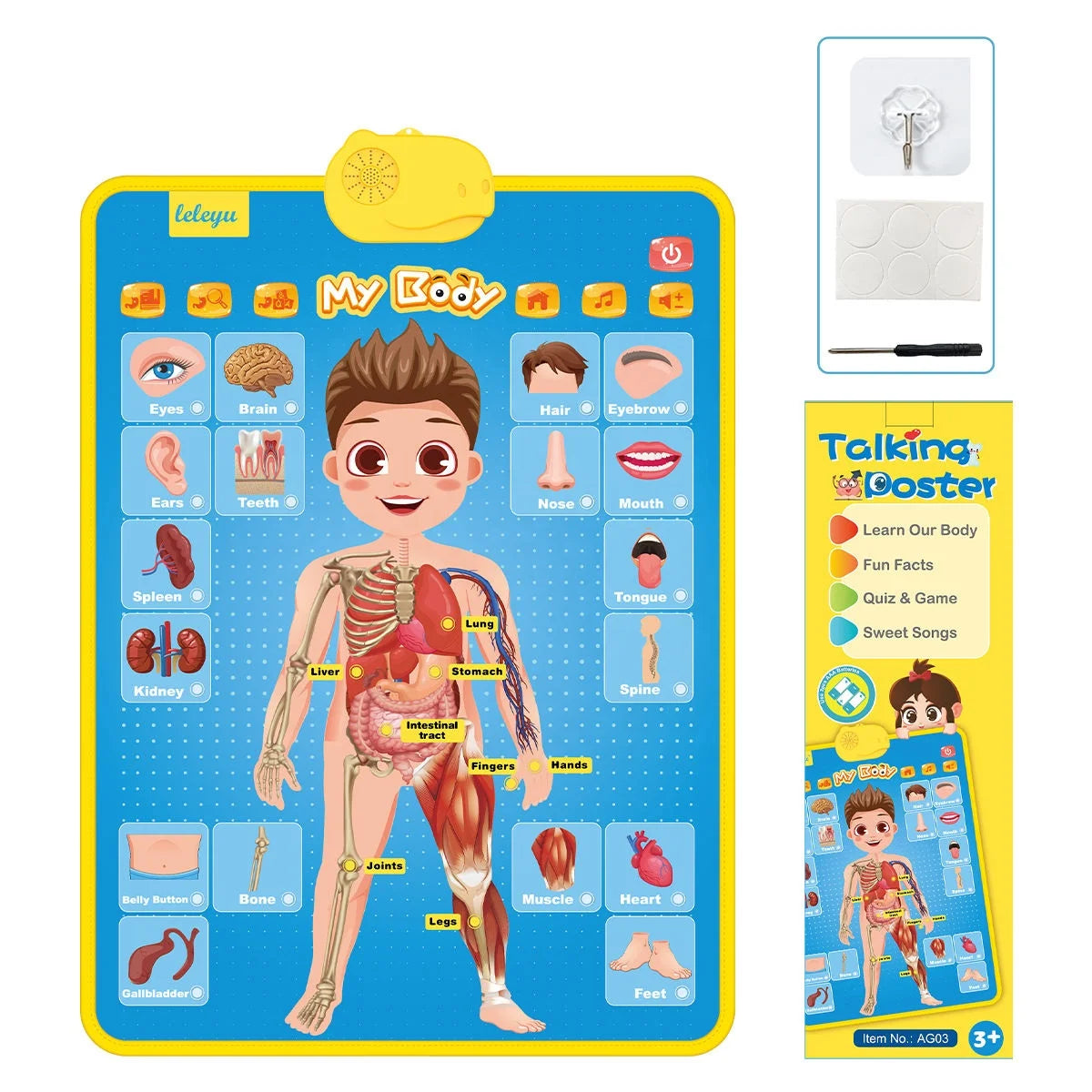 GaryToy Kids Interactive Educational Human Anatomy Wall Chart Talking ...